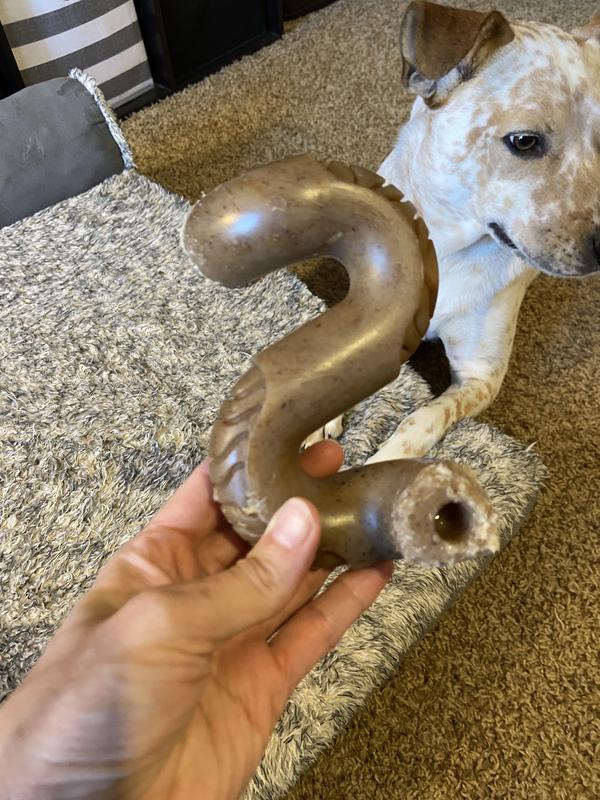 BENEBONE Tripe Bone Tough Dog Chew Toy, Brown, Large - Chewy.com