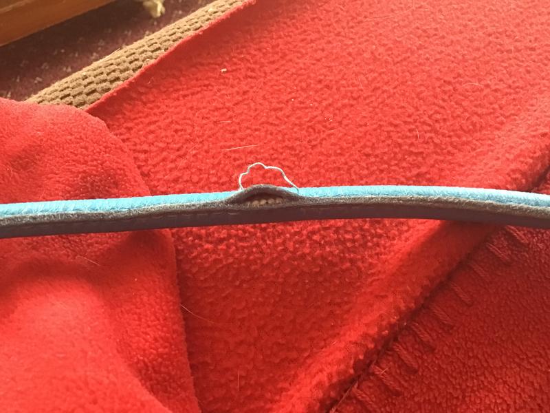 COLLARDIRECT Rolled Leather Dog Collar, Brown, Small: 9 to 11-in neck ...