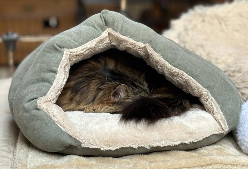 Out of Stock - ETHICAL PET Sleep Zone Cuddle Cave Cat & Dog Bed, 22-in ...