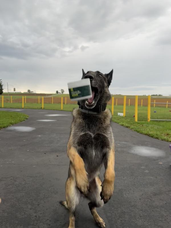 WUFFES Advanced Hip & Joint Supplement with Glucosamine & Chondroitin ...