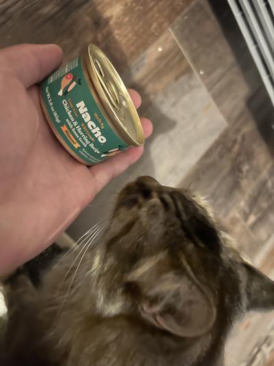 MADE BY NACHO Wild-Caught Chicken & Herring Recipe with Bone Broth ...