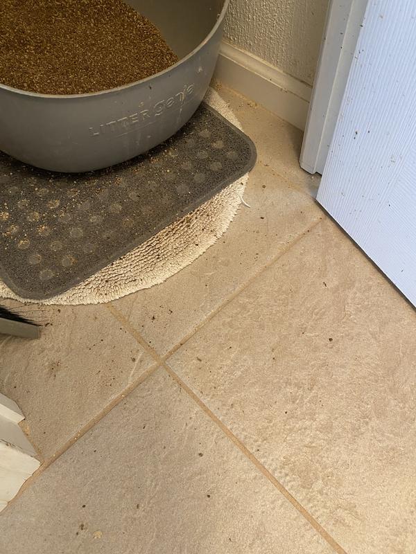 NATURALLY FRESH Herbal Attraction Scented Clumping Walnut Cat Litter ...