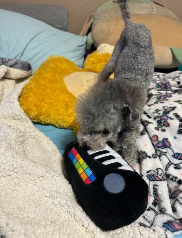 BARK Wonder Keyboard Squeaky Plush Dog Chew Toy, Small/Medium - Chewy.com