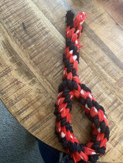 KONG Signature Double Tug Rope Dog Toy - Chewy.com