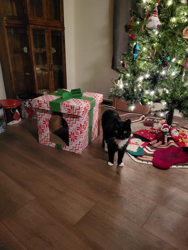 FRISCO Holiday Gift Box Cardboard Cat House - Chewy.com