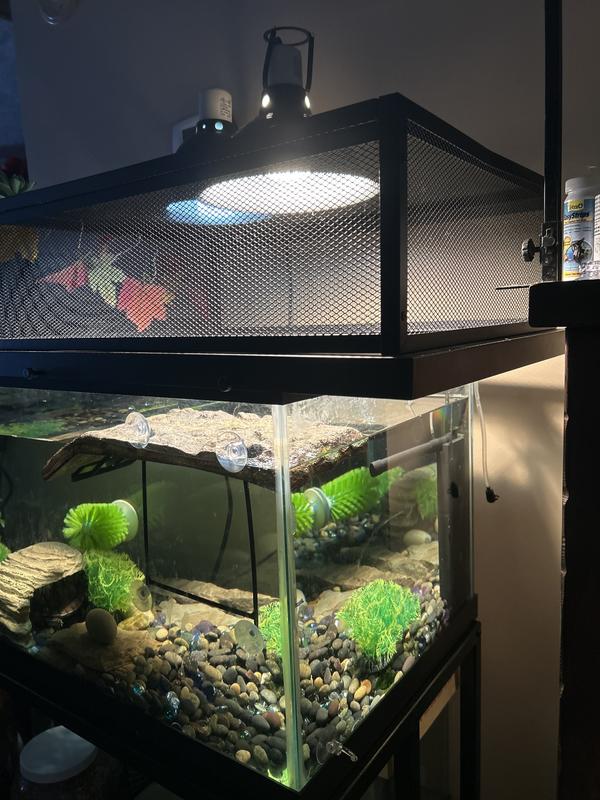 ZILLA Premium Reflector Light & Heat Black Ceramic Dome Lighting ...