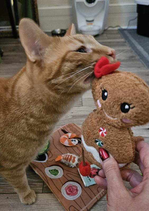 FRISCO Holiday Gingerbread Pals Plush Kicker Cat Toy with Catnip, 2 ...