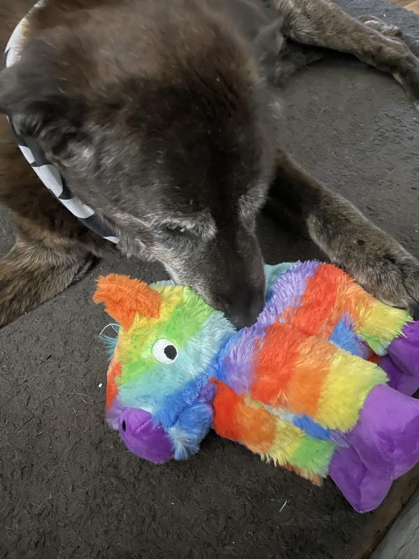 BARK Full o' Fluff Pinata Squeaky Plush Dog Toy - Chewy.com