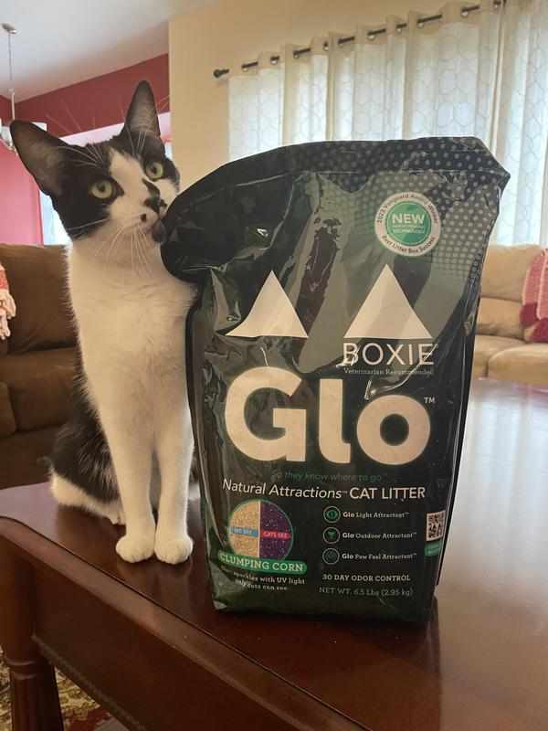 BOXIECAT Glo Corn Clumping Cat & Kitty Litter, 16.5-lb bag - Chewy.com