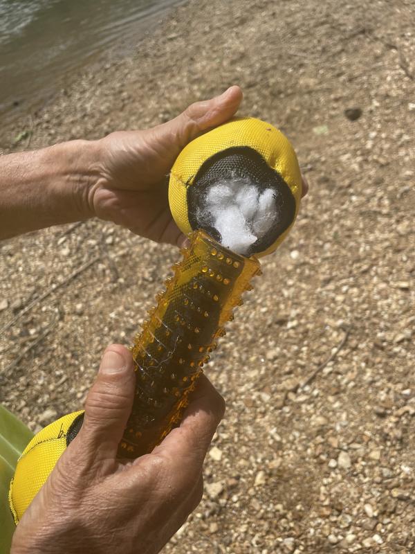 Temporarily Unavailable - PET LIFE Hoist-a-Fetch Floating Fetch Dental ...