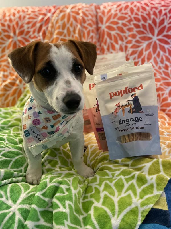 PUPFORD Turkey Tendons Dog Chews, 10 count - Chewy.com