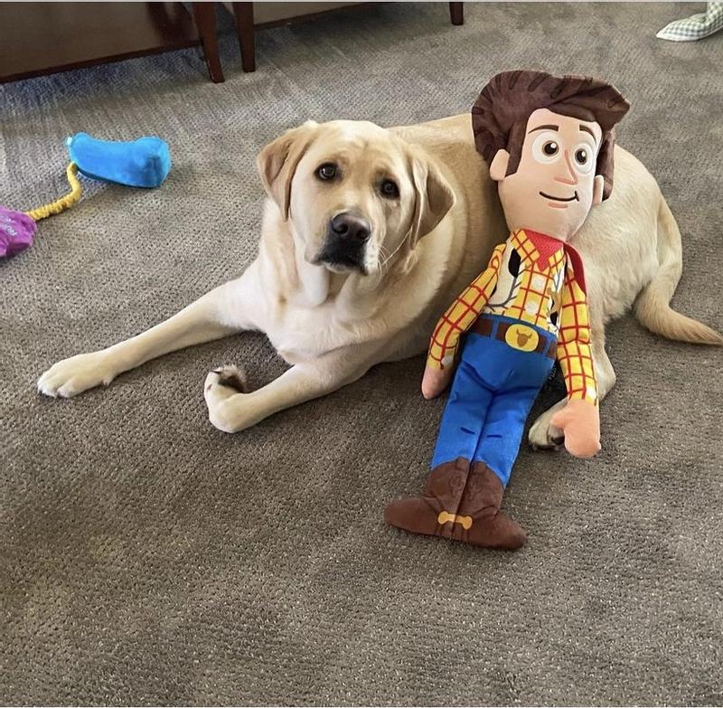 PIXAR Woody Wagazoo Plush Squeaky Dog Toy, Extra Long - Chewy.com