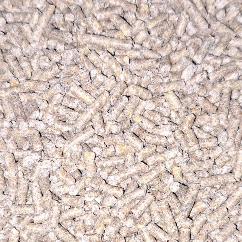 KRUSE'S PERFECTION BRAND 22% Protein Pellet Pigeon Food, 50-lb bag ...