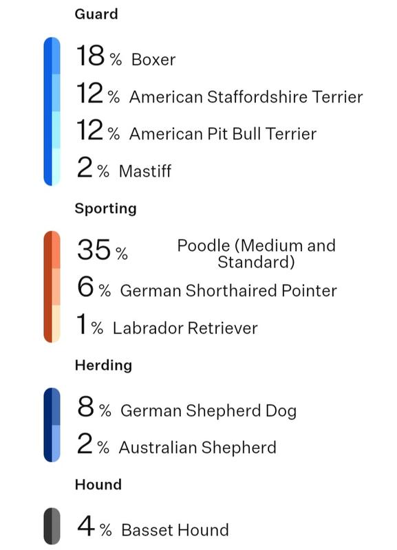 WISDOM PANEL Essential Breed Identification DNA Test for Dogs - Chewy.com