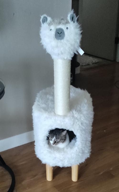 FRISCO Animal Series Cat Condo, Llama - Chewy.com