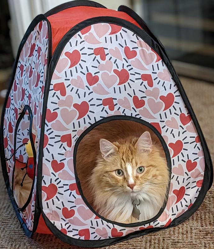 Temporarily Unavailable - FRISCO Valentine Love Bug Pop-Up Tent Cat Toy ...