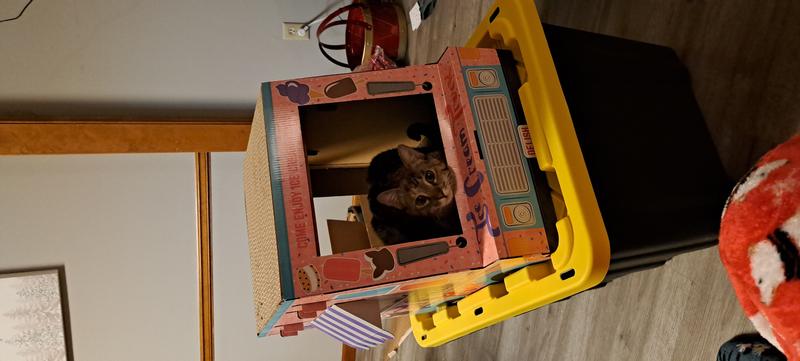 FRISCO Ice Cream Truck Cardboard Cat House, 2-Story - Chewy.com