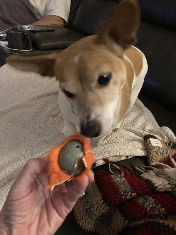 OUTWARD HOUND Squeaker Ballz Dog Toy, X-Small - Chewy.com