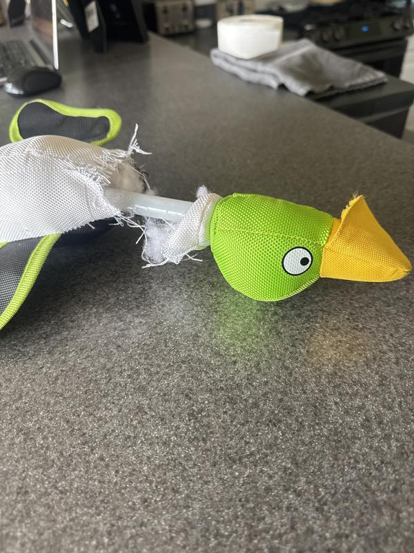HYPER PET Flying Series Dog Toy, Flying Green Duck - Chewy.com