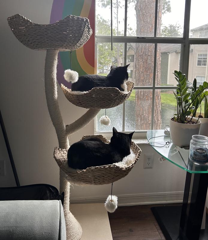 MAU LIFESTYLE Ivy 3, 53-in Modern Cat Tree, Natural - Chewy.com