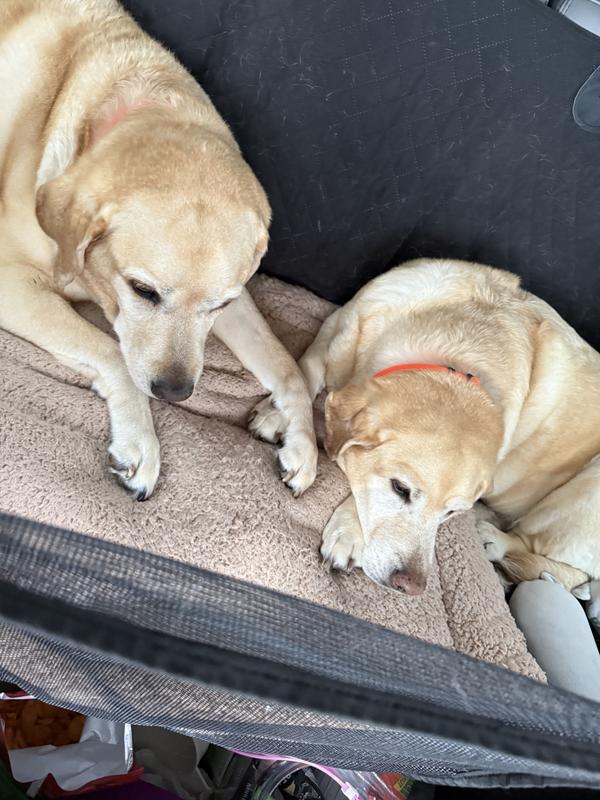 DOG DELIGHTS Chewy Duck Sticks High-Protein Dog Treats, 44-oz bag ...