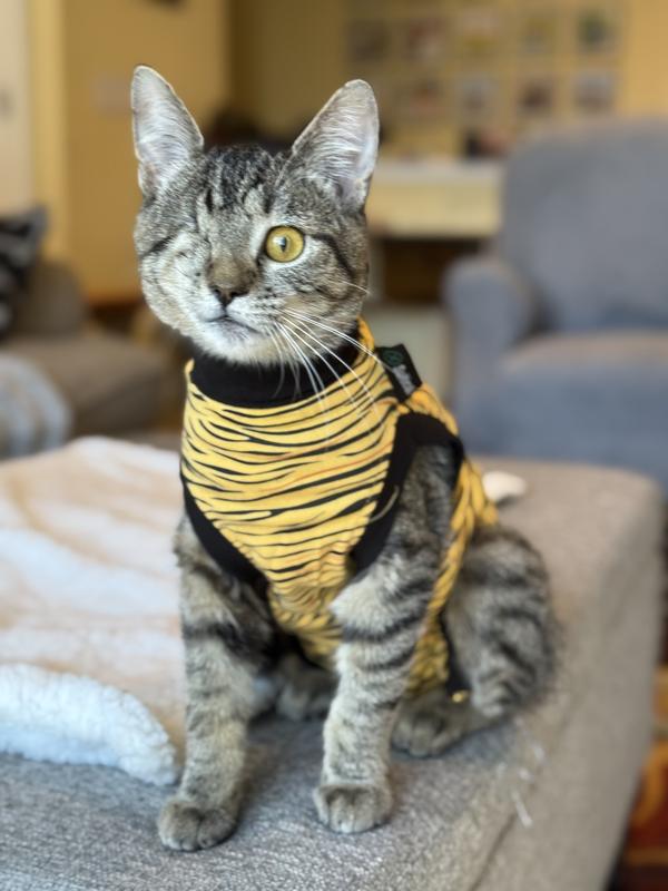 SUITICAL Recovery Suit Cat Apparel, Tiger Print, Small - Chewy.com