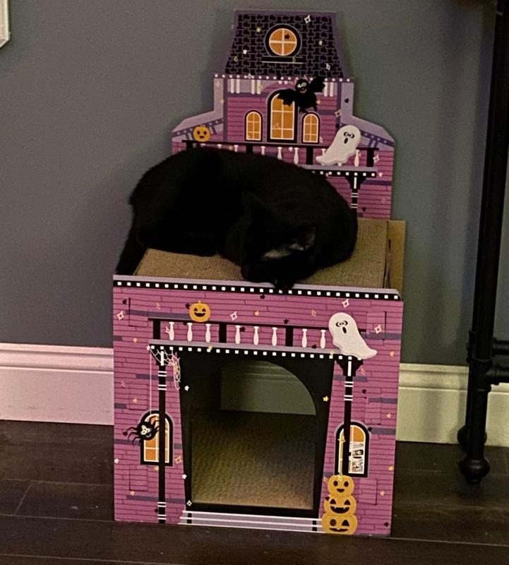 Out of Stock - FRISCO Halloween Mansion Cardboard Cat House with ...
