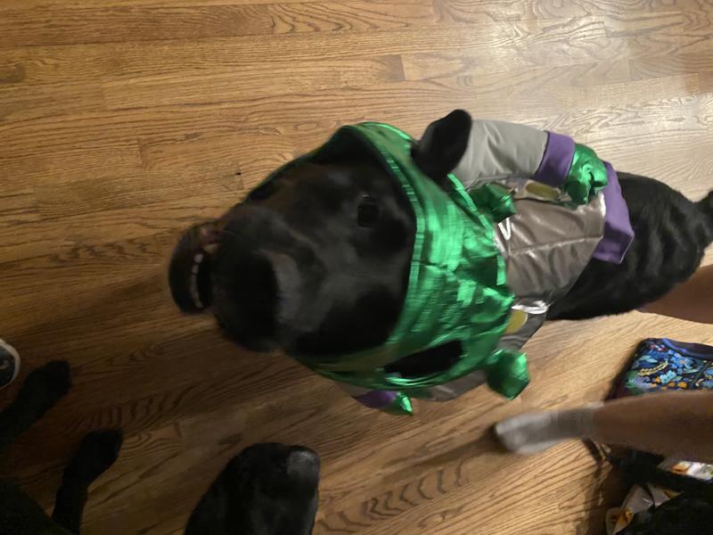 FRISCO Front Walking Alien Dog & Cat Costume, XX-Large - Chewy.com