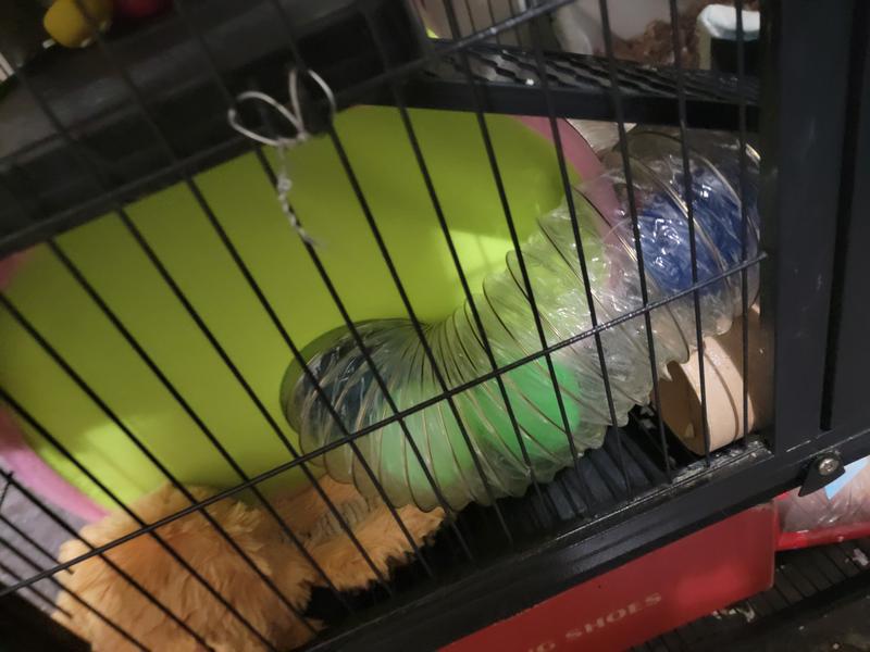 Discontinued - KAYTEE FerreTrail Flex-E Fun-nels, Color Varies - Chewy.com