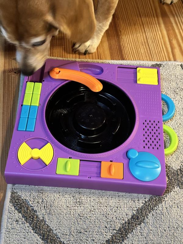 BRIGHTKINS DJ Doggo Puzzle Feeder Dog Toy - Chewy.com