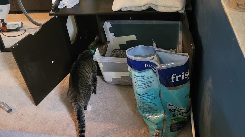 FRISCO Fresh Scented Non-Clumping Recycled Paper Cat Litter, 25-lb bag ...