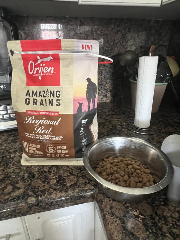 ORIJEN Amazing Grains Regional Red Dry Dog Food, 22.5-lb bag - Chewy.com