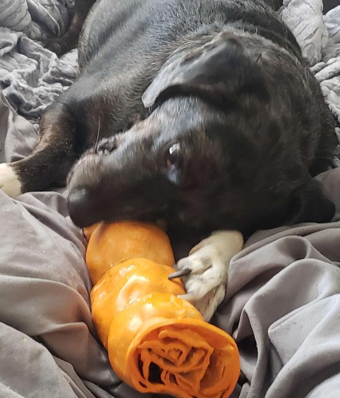 BARKWORTHIES Beef Cheek Peanut Butter Dipped Dog Bone, Large - Chewy.com