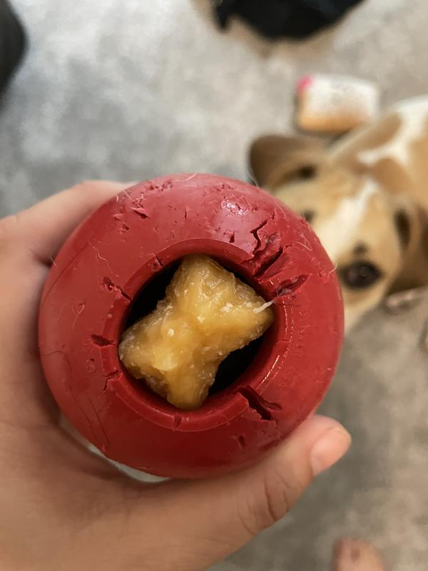 KONG Classic Dog Toy, Medium - Chewy.com