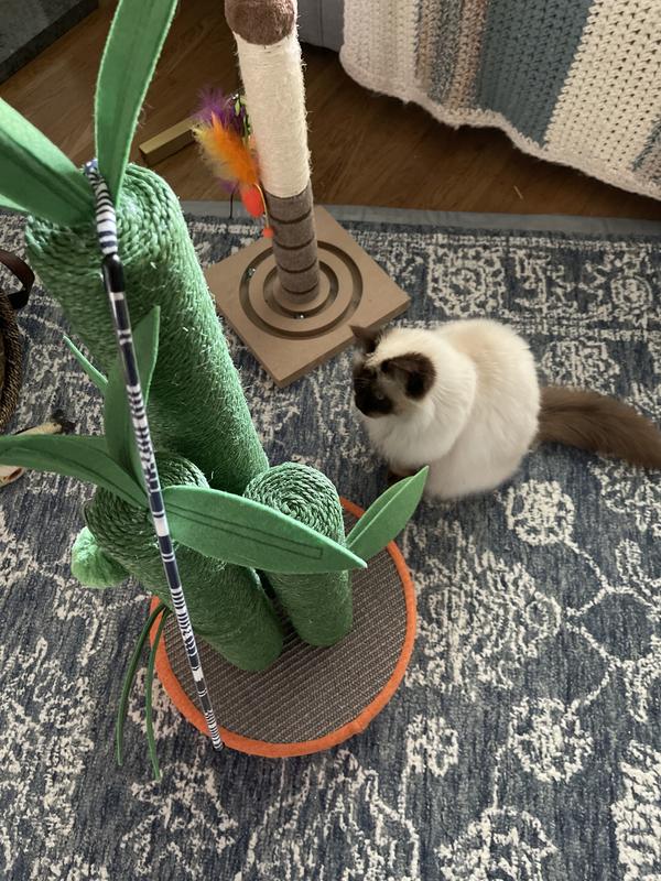 FRISCO Lucky Bamboo 35.5" Cat Scratching Posts with Toys - Chewy.com