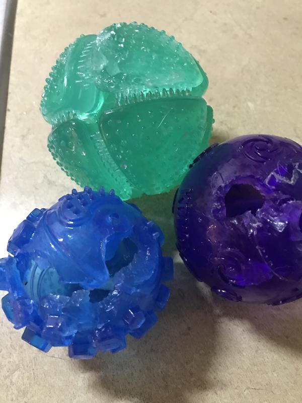 KONG Squeezz Crackle Ball for Dogs, Color Varies, Medium - Chewy.com