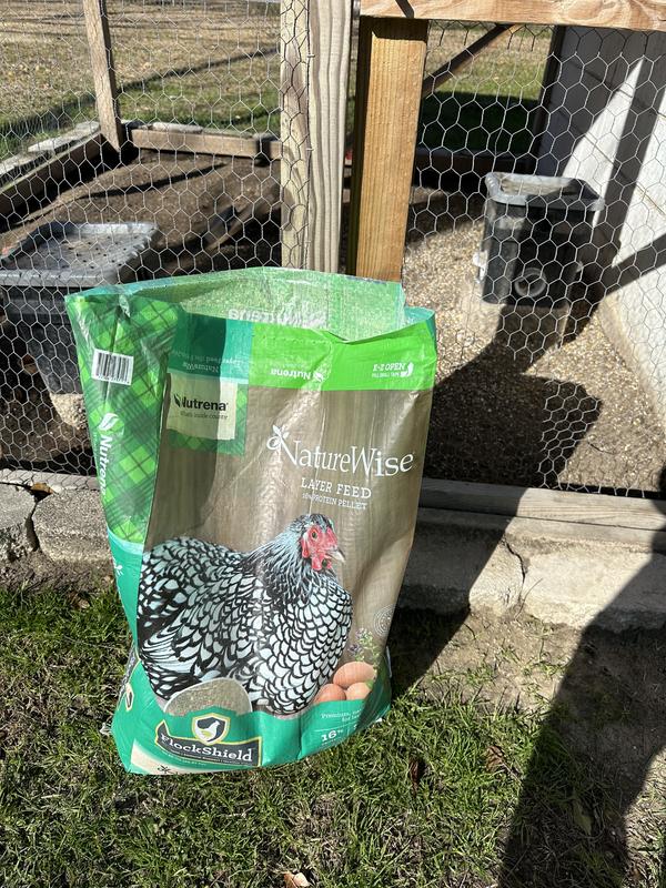 NUTRENA NatureWise Layer 16% Protein Pellet Chicken Feed, 50-lb bag ...