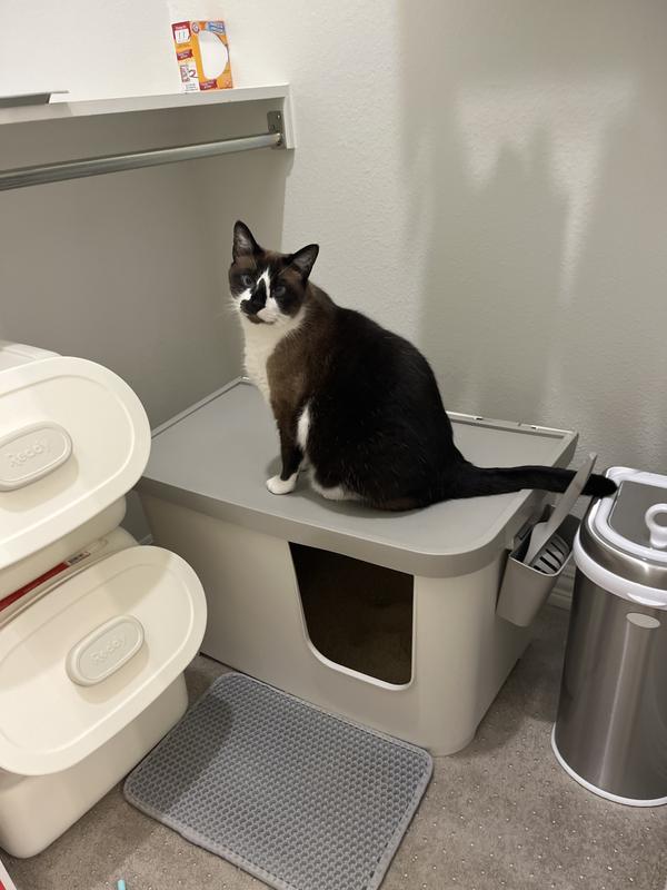 FRISCO Multi-Function Covered Cat Litter Box, 29-in, Without Tray ...