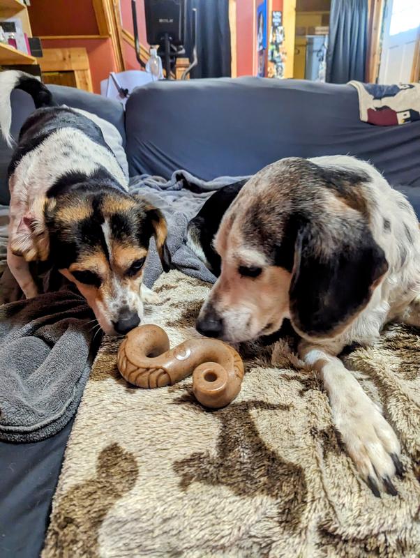 BENEBONE Tripe Bone Tough Dog Chew Toy, Brown, Large - Chewy.com