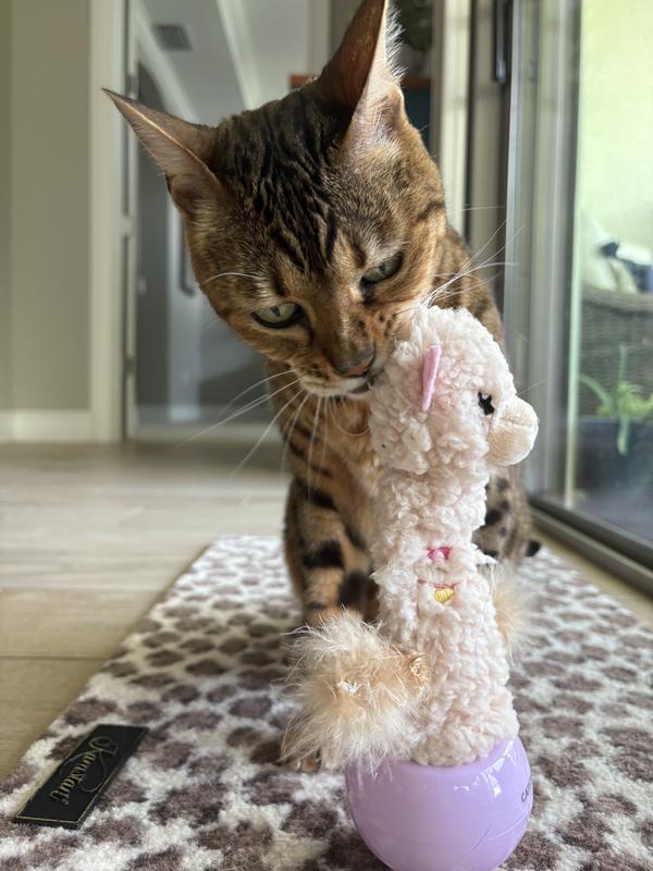 Product Reviews for CATSTAGES Electronic Dancing Llama Interactive Cat ...
