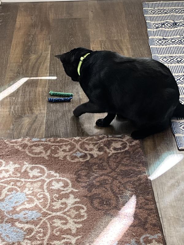 FRISCO Holiday Festive Swatting Spirals Cat Toy, 4 count - Chewy.com