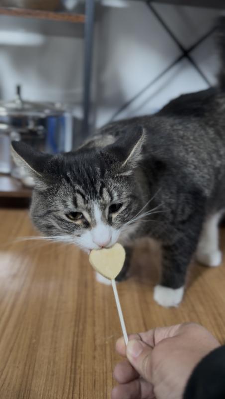 BONKERS Purr Pops Grain-Free Chicky Licks Freeze-Dried Cat Treats, 5.6 ...