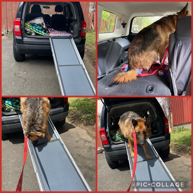 PETSAFE Happy Ride Telescoping Dog Car Ramp, X-Large - Chewy.com