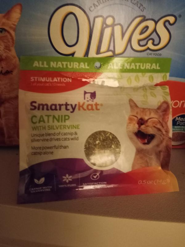 SMARTYKAT Silvervine Cat Attractant Catnip, 1.25-oz pouch - Chewy.com