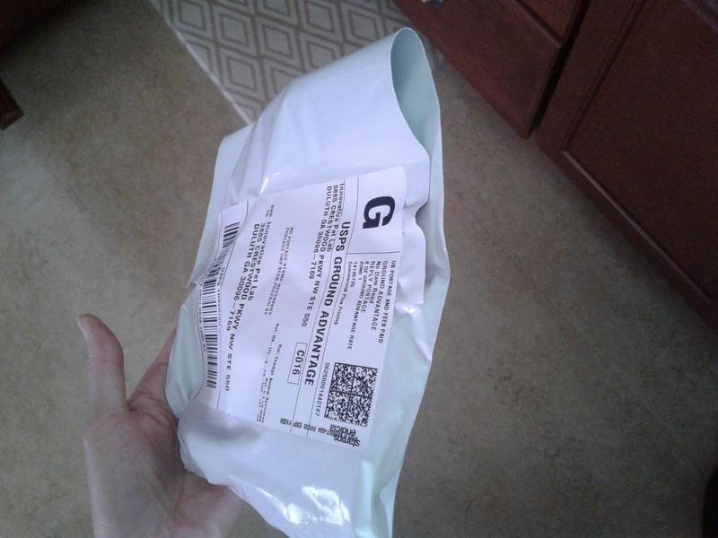 INNOVATIVE PET LAB Comprehensive Review Dog Gut Check Kit - Chewy.com