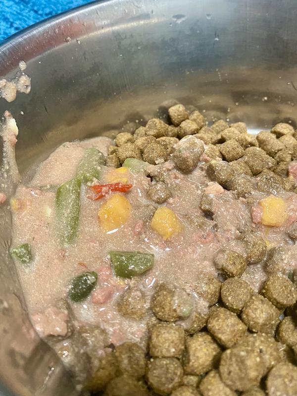 WELLNESS Bowl Boosters Hearty Toppers Beef Wet Dog Toppers, 5.5-oz bag ...