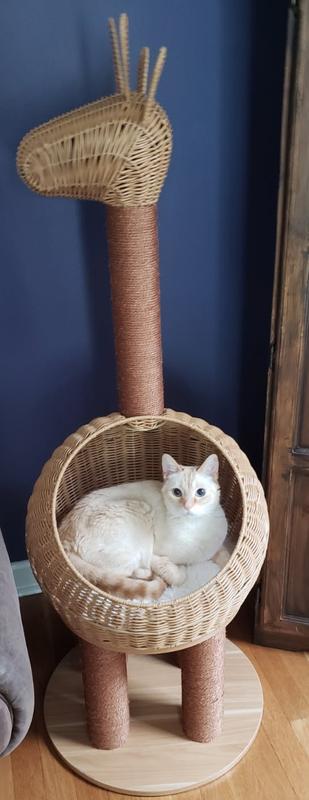 FRISCO Giraffe 51" Wicker Cat Tree & Condo - Chewy.com