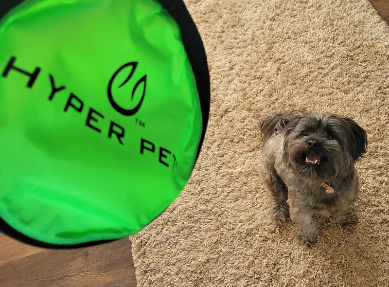 HYPER PET Flippy Flopper Flying Disc Dog Toy, Color Varies, 9-in, 5 ...