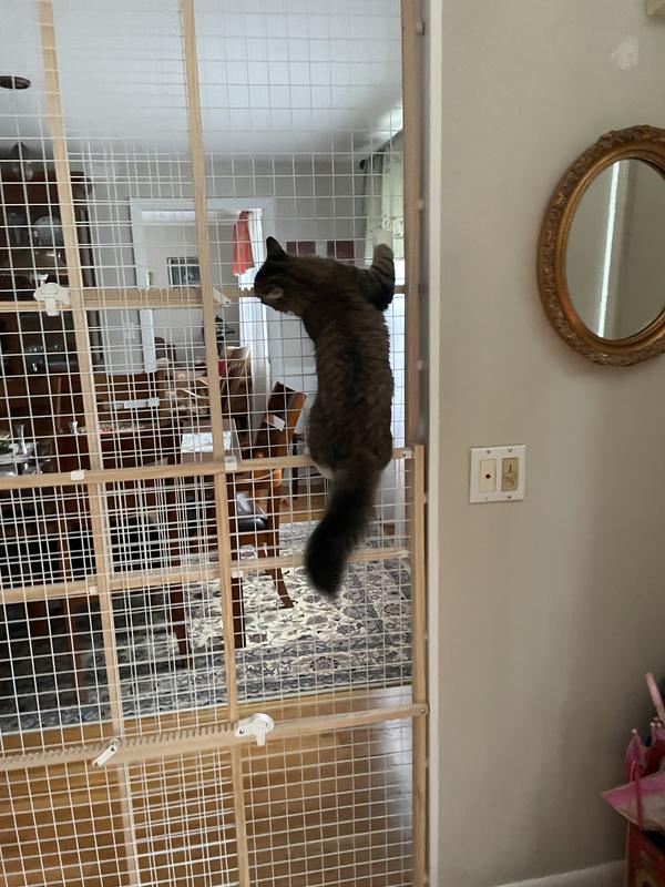 MIDWEST Wood/Wire Mesh Pet Gate, 32-in - Chewy.com