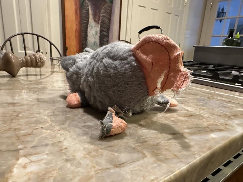 BITE FORCE Built with Kevlar Tough Plush Opossum Dog Toy, Grey - Chewy.com